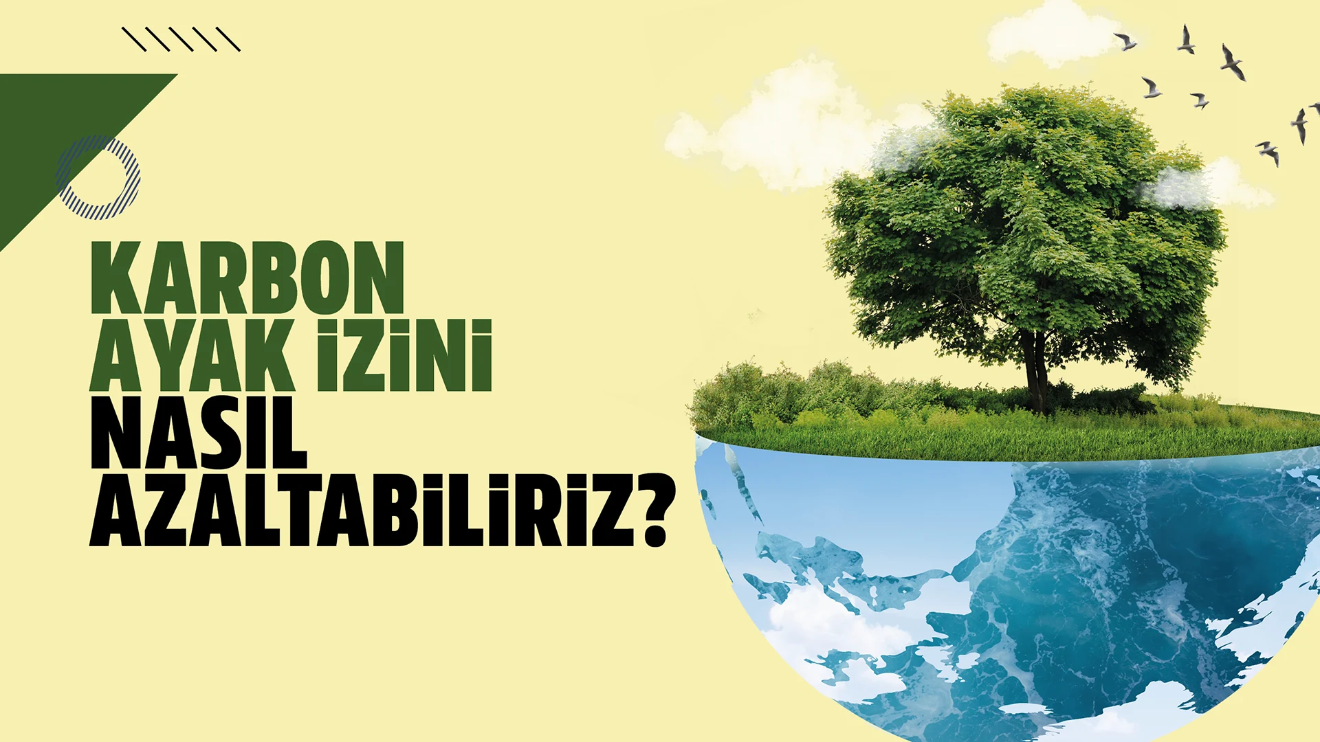 Karbon Ayak İzini Nasıl Azaltabiliriz? - Aynen Dergi